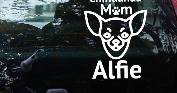 Samolepky na auto Chihuahua